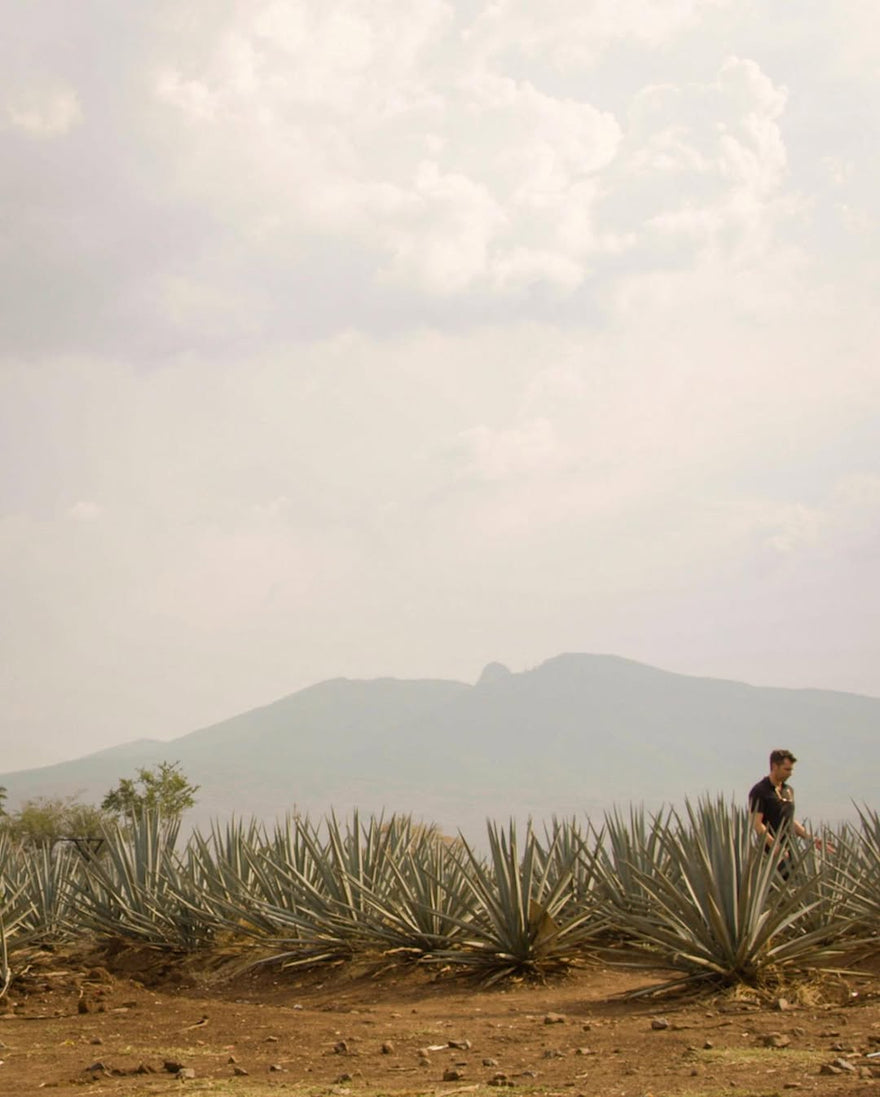 Costa Tequila